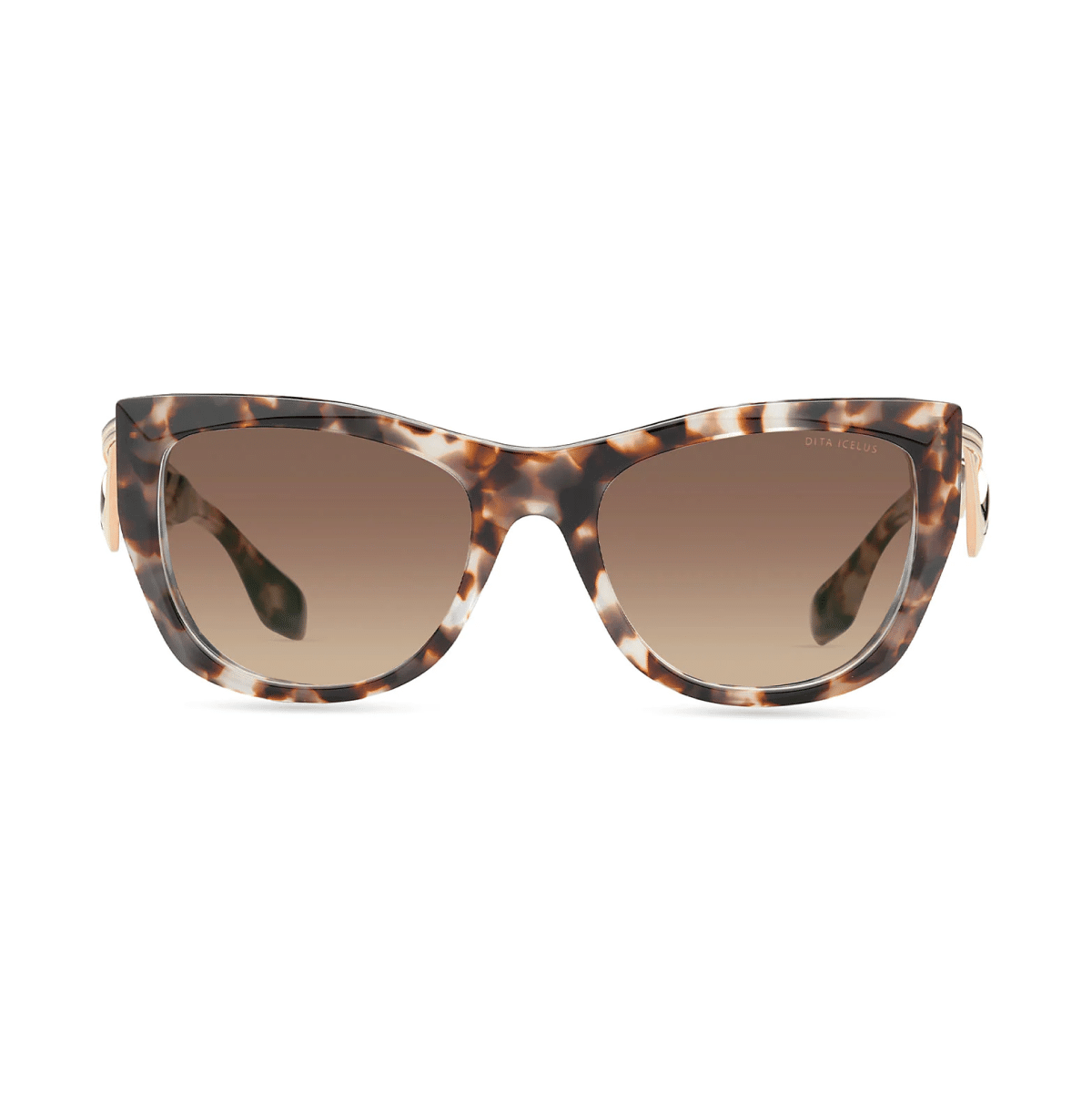 DTS438 ICELUS - Edward Beiner